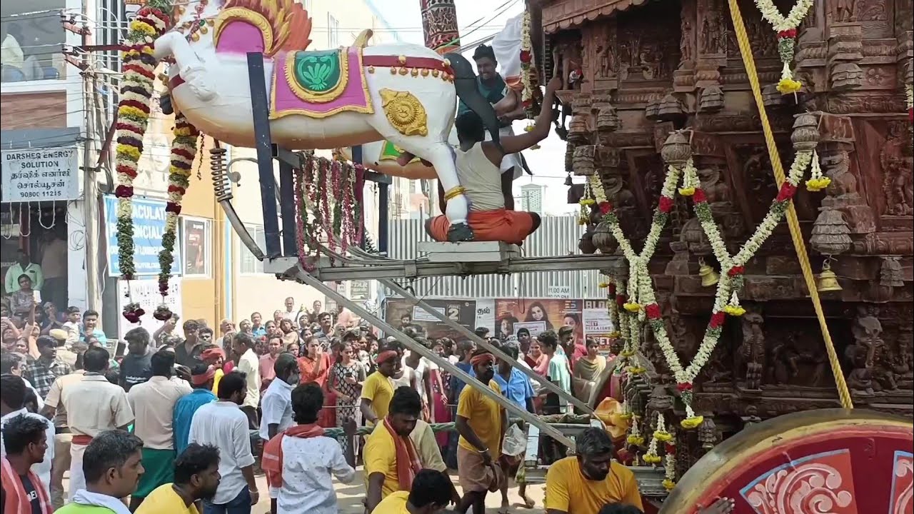 Cuddalore padaleeswarar temple chariot festival. - YouTube