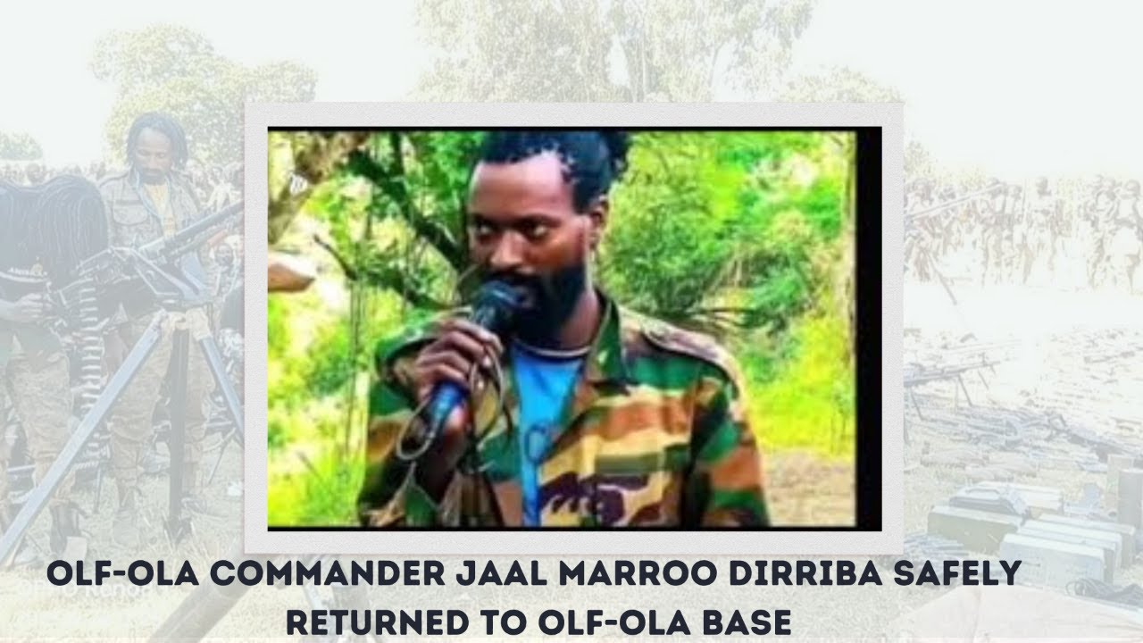 ODUU GAMMACHIISAA | HOOGGANAA OLAANAAN ABO-WBO JAAL MAROO DIRRIBAA ...