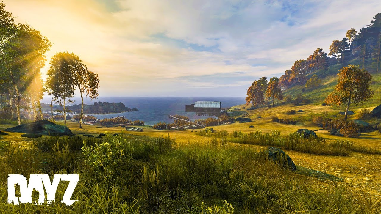 ЗАЩИТНИЦА КРОЛЕЙ И ЛИСИЧЕК (го на twitch если лаги) [DAYZ STREAM PVP] # ...