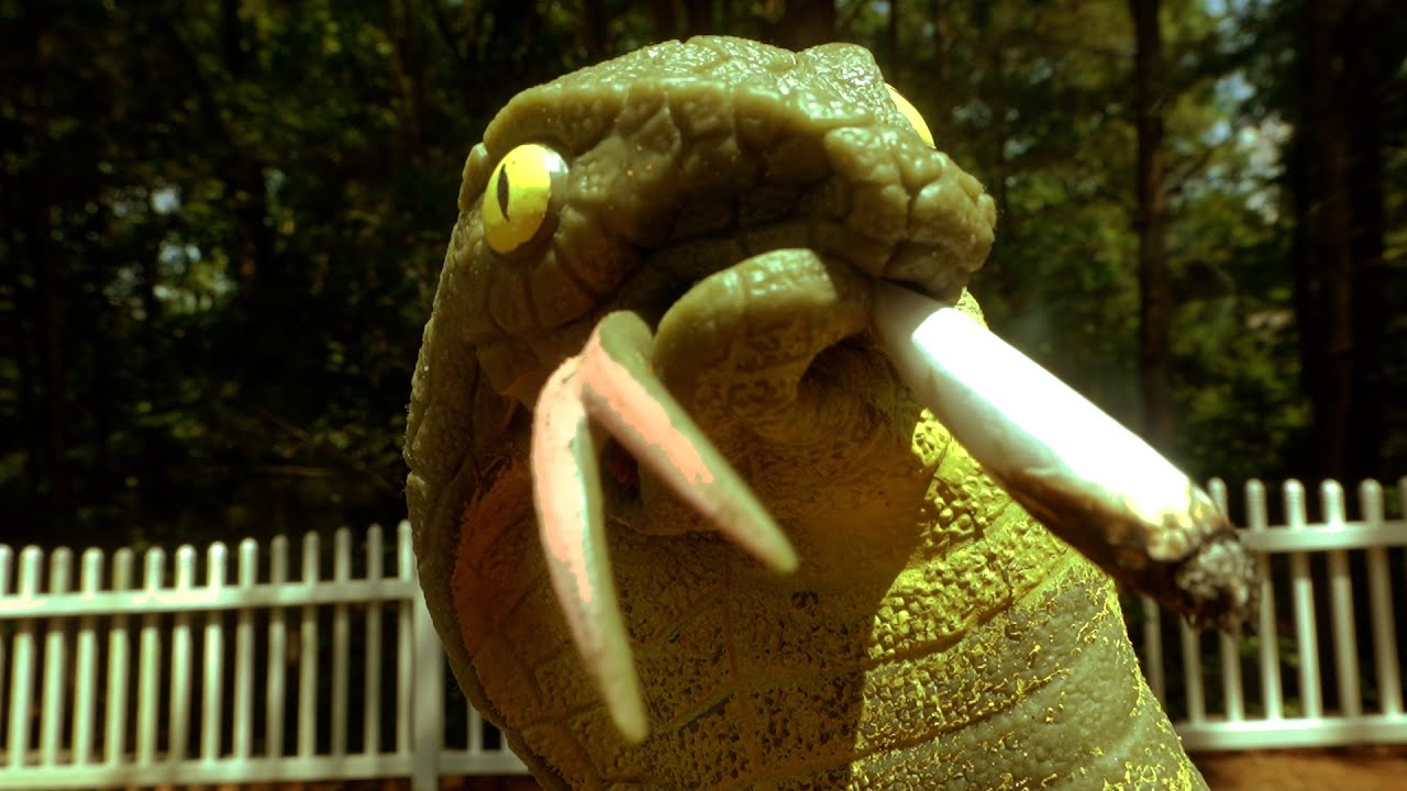 I Gotta Pet Snake (Official Video) - YouTube