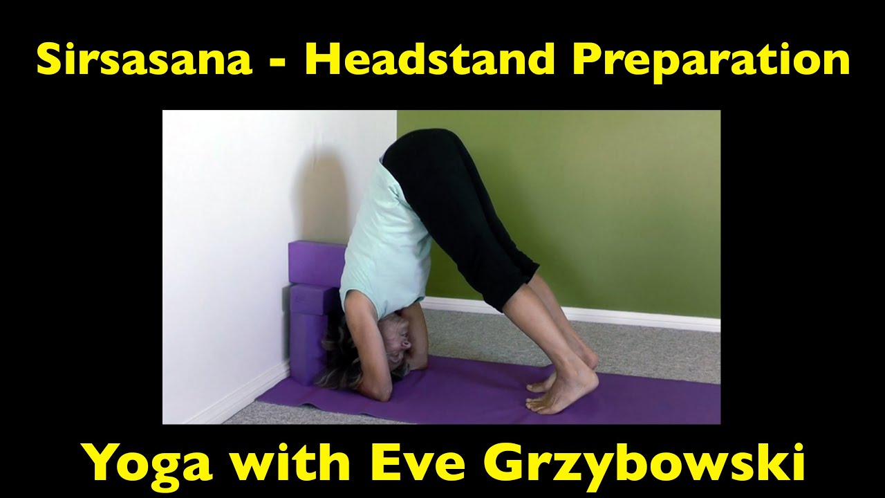 Sirsasana - Headstand Preparation - YouTube