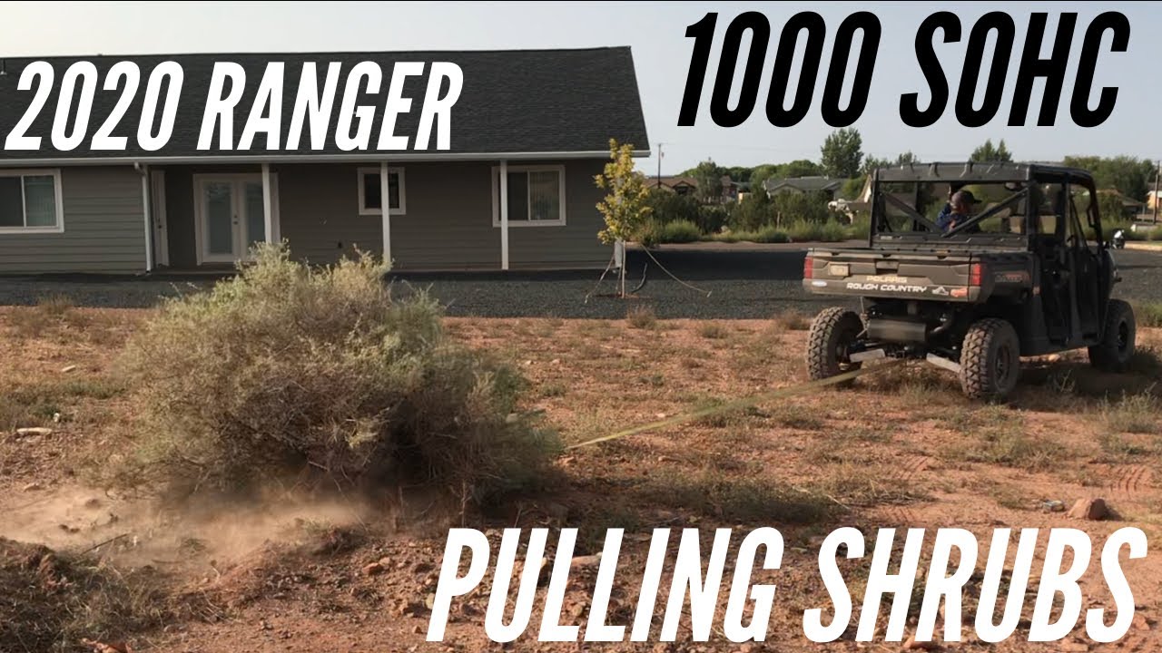 PULLING SHRUBS - 2020 Ranger Crew 1000 SOHC (Vid #38) - YouTube