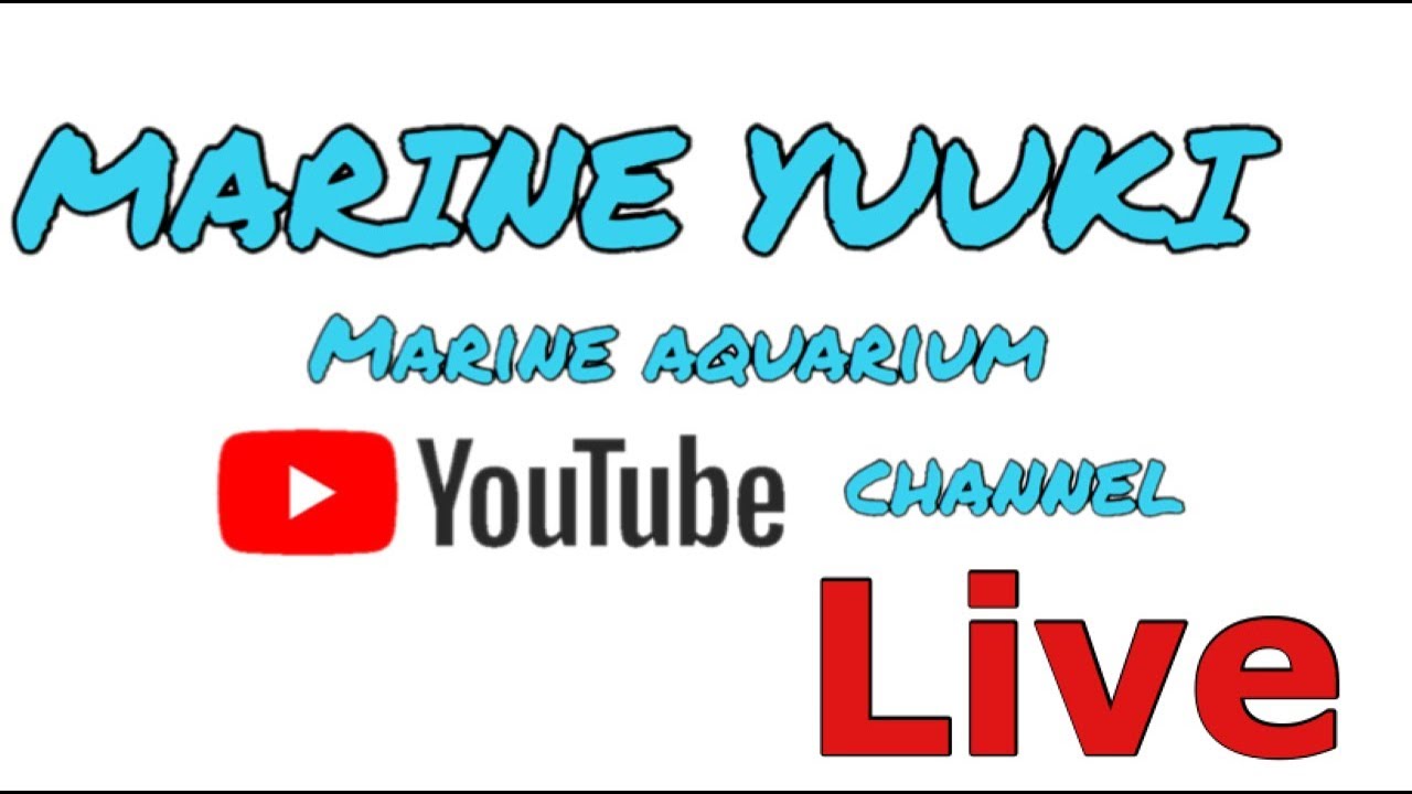 2000人突破だぜ！！令和元年YUKI`s radio 31回 - YouTube