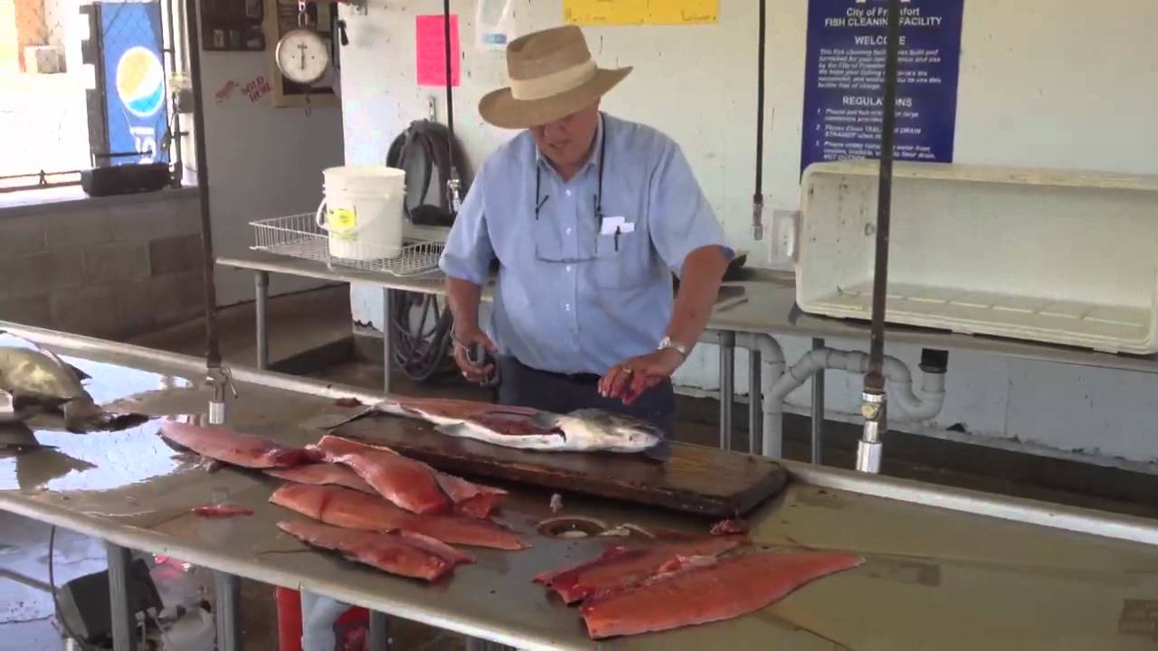 How to fillet a Salmon in Frankfort Michigan - YouTube