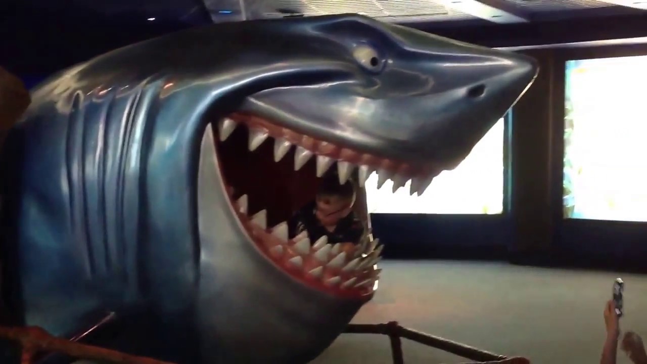 Disney World Attraction In Disney Epcot Center: The Seas with Nemo ...