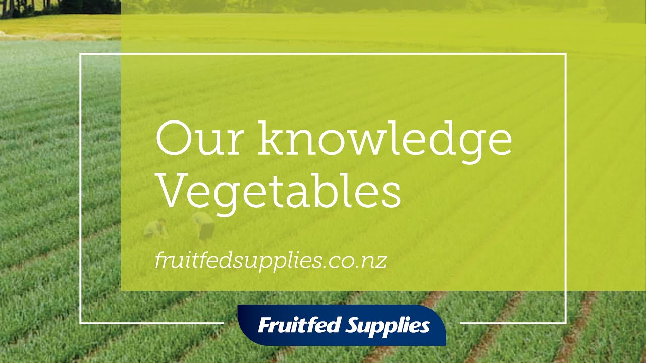 Vegetables | Our Knowledge | Fruitfed Supplies - YouTube