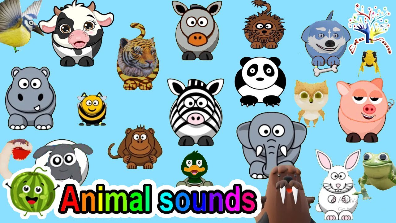 The Animal Sound Song A1AJ || Kids Song || EduFam #cocomelon #kidssong ...