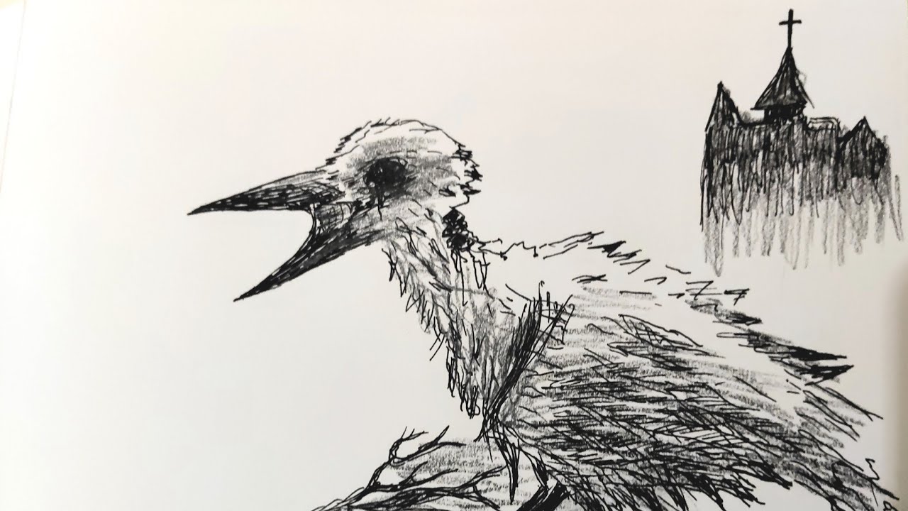 drawing zombie bird @Tartf22 - YouTube