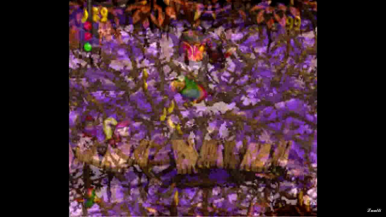 Donkey Kong Country 2 → Screech Sprint Theme ♪ - YouTube