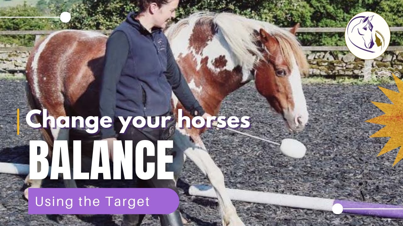 Using the Target to Change your Horse's Balance - YouTube