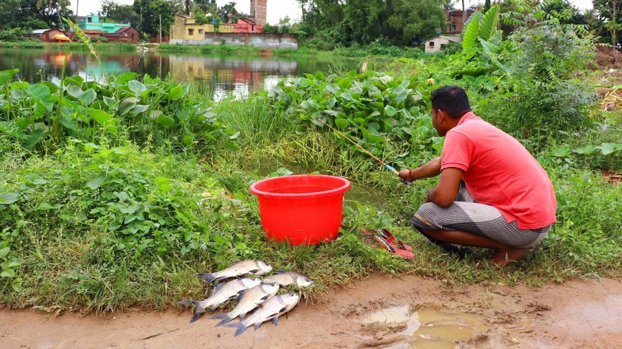 Fishing Video || Village boys know fishing techniques very well ...