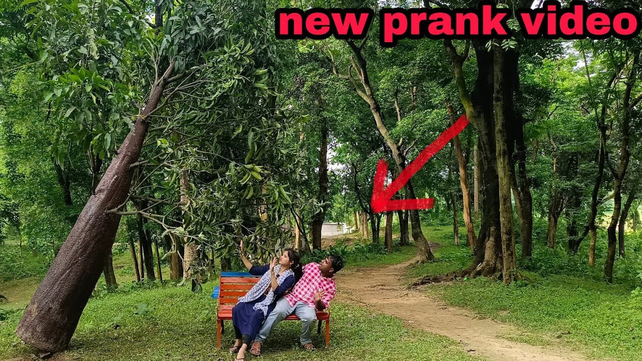 😂😅NEW ARTIFICIAL TREE PRANK| PRANK WITH BALLS - YouTube