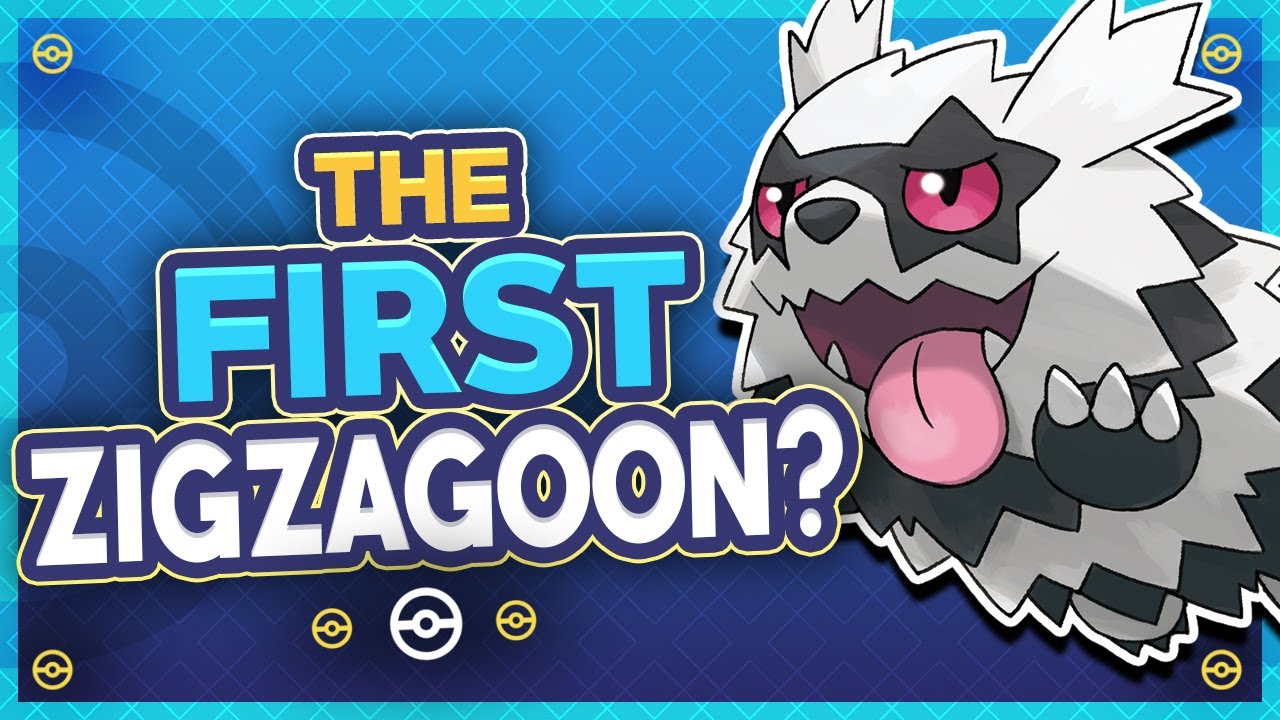 Zigzagoon Human