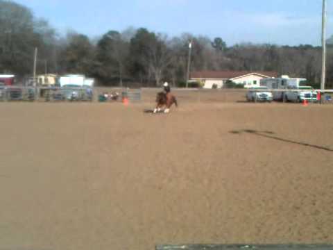 Izzy with reining pattern #8 - YouTube