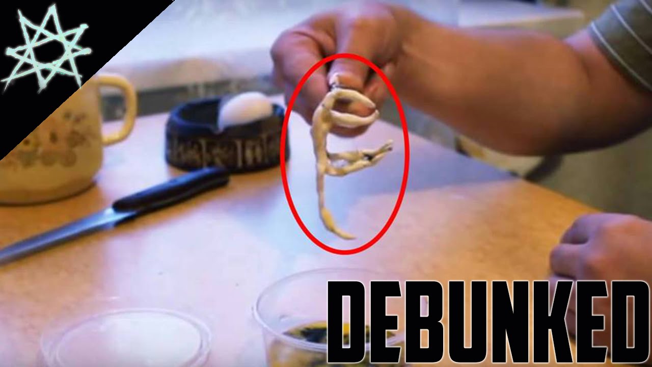 Russian "Homunculus" Videos |DEBUNKED - YouTube