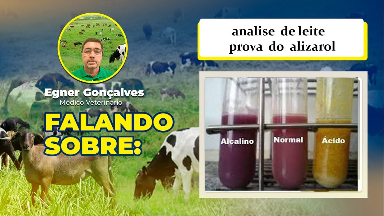 Analise de Leite Bovino - Prova do Alizarol - YouTube