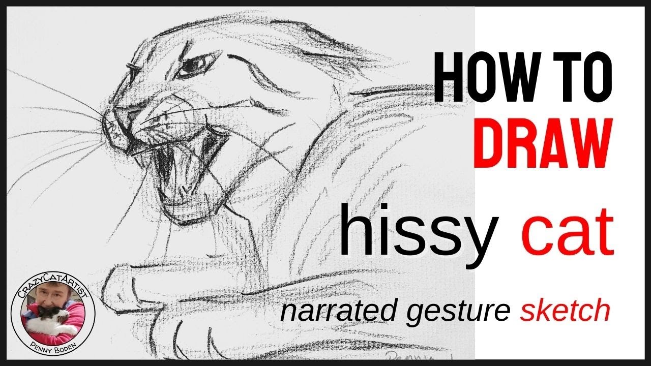 How to Draw Scared Cat Hissing Face Side View | Frightened Feral Wild ...