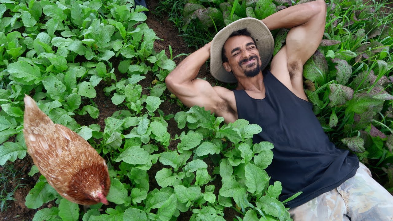 Is Farm Life REALLY that HARD? | Farm Life Realities - YouTube