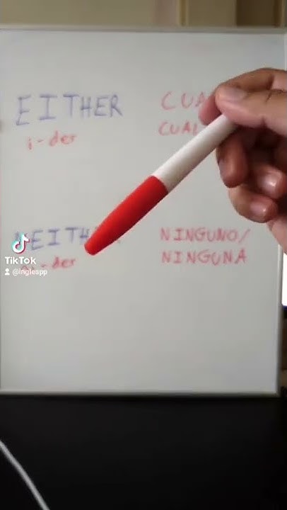 Aprende Inglés Diferencias Entre Either Y Neither Youtube
