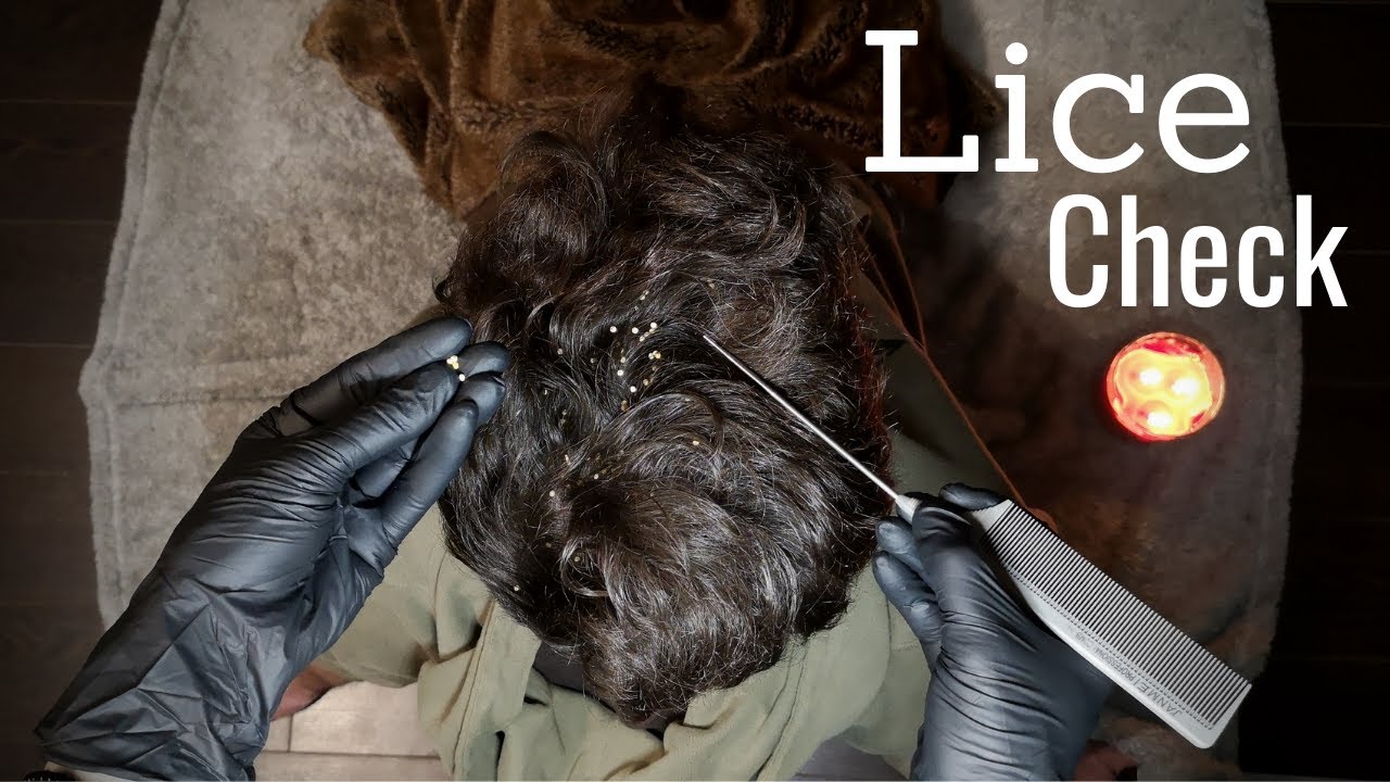 ASMR 💆 Real Person Lice Check / Scalp Check #12 No-Talking - YouTube