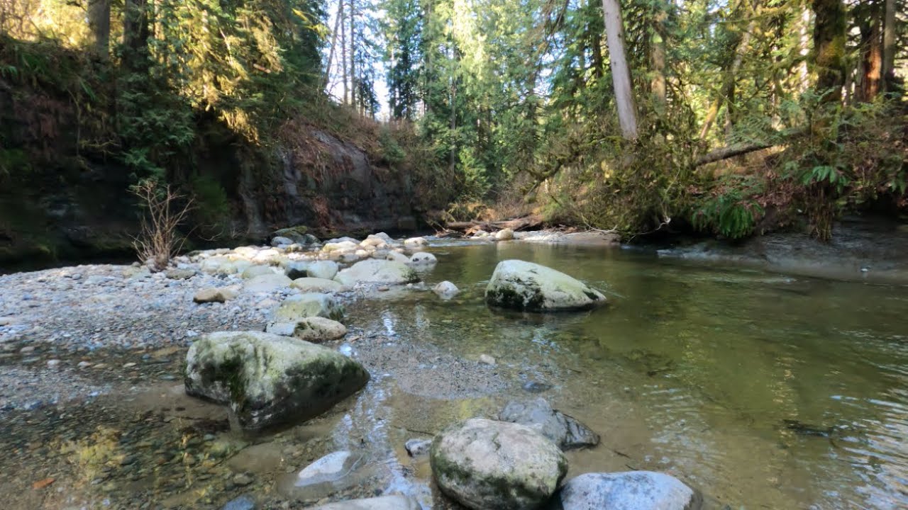 The Hawaiian trails of Kanaka Creek , Maple Ridge . - YouTube