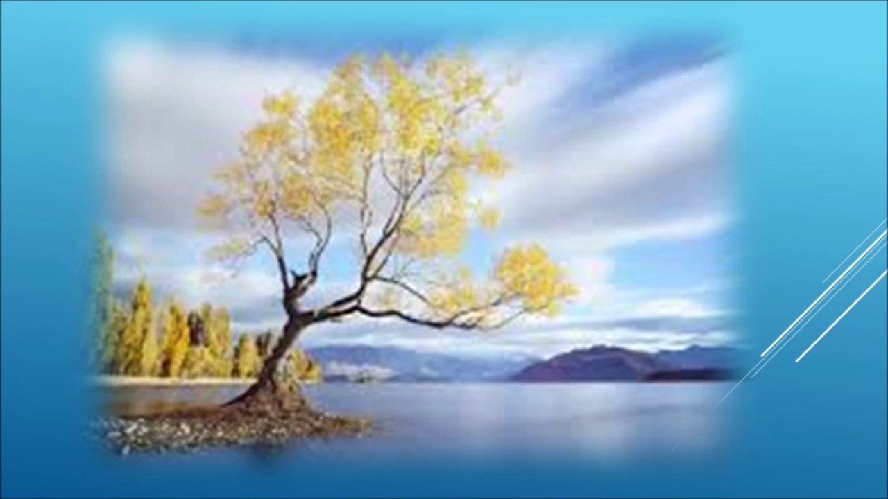 Uroš Vošnjak, Medena rosa - YouTube