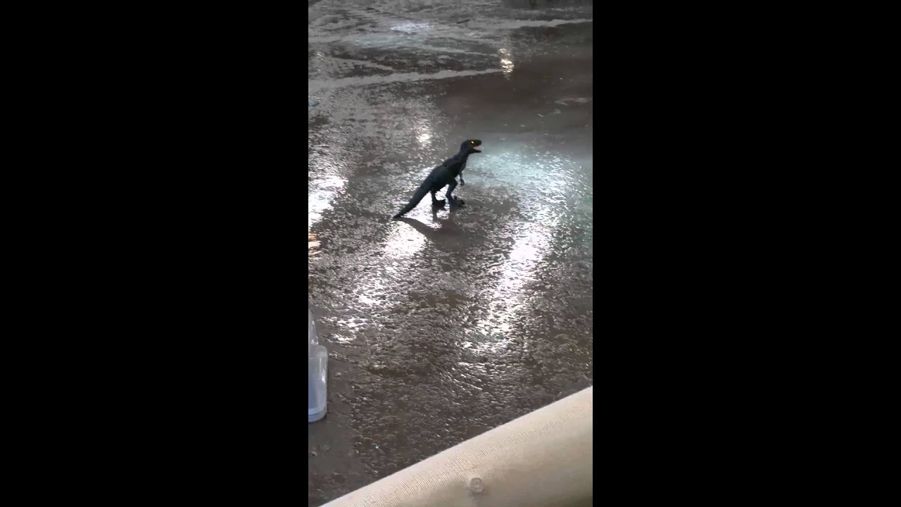 Real Dinosaur caught on camera 2016 - YouTube