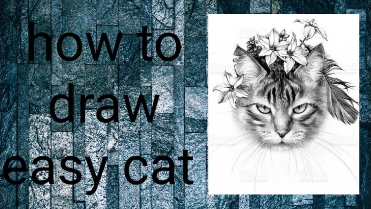 Draw cat with charcol pencil / drawing of cat - YouTube