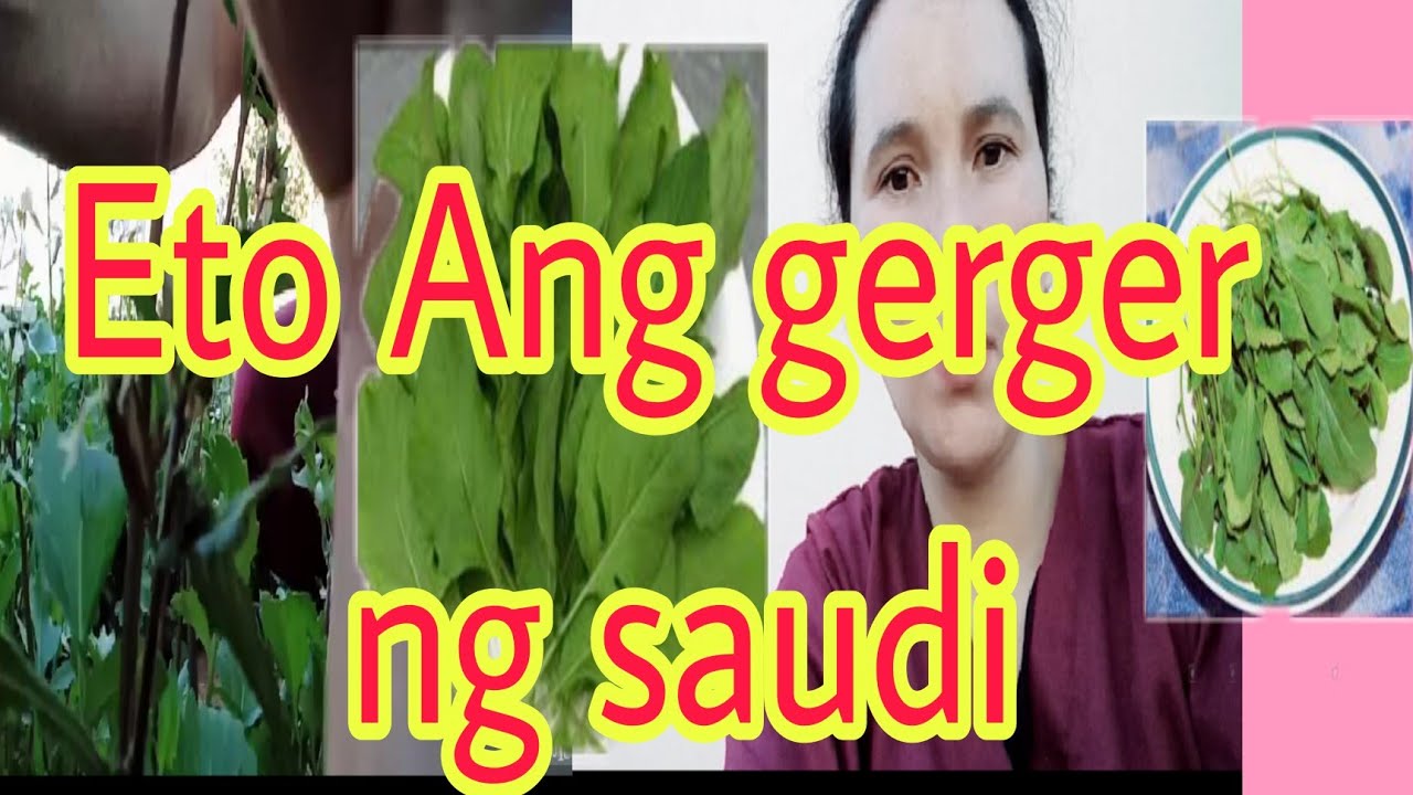 Ang gerger ng saudi, - YouTube