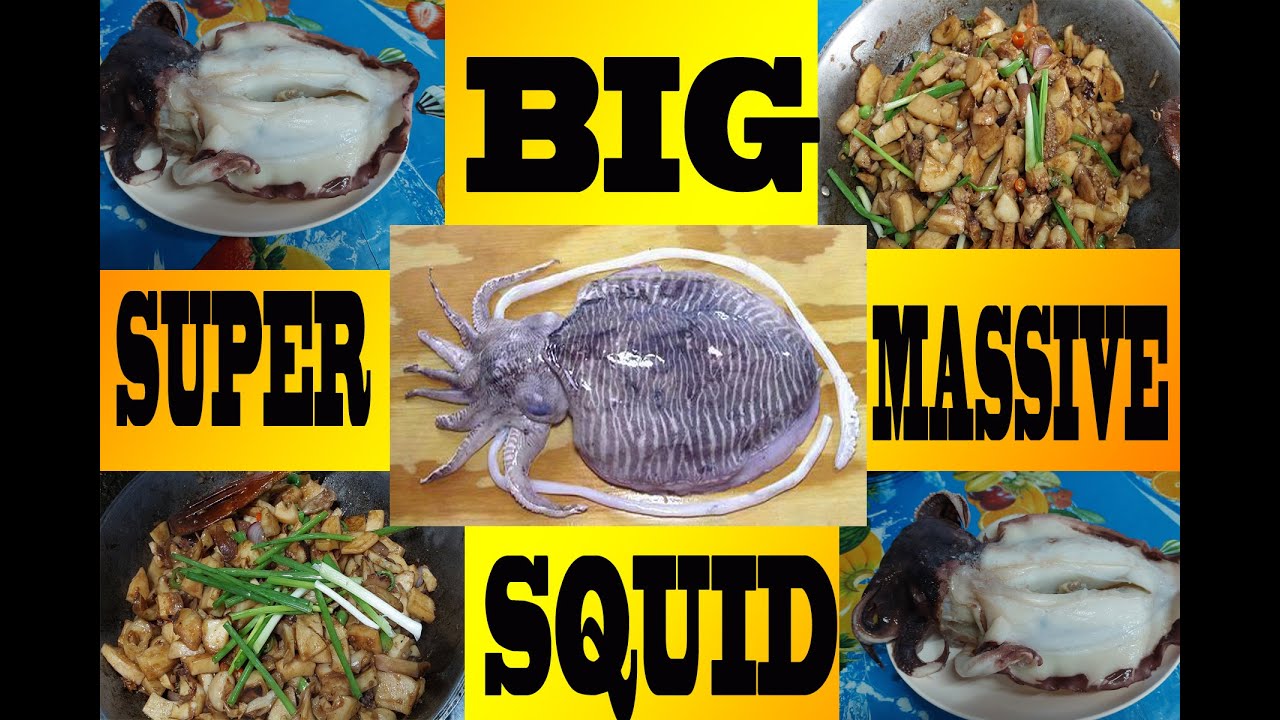 Let's Cook Massive Pusit || Pusit with Oyster Sauce || Big Cattlefish ...