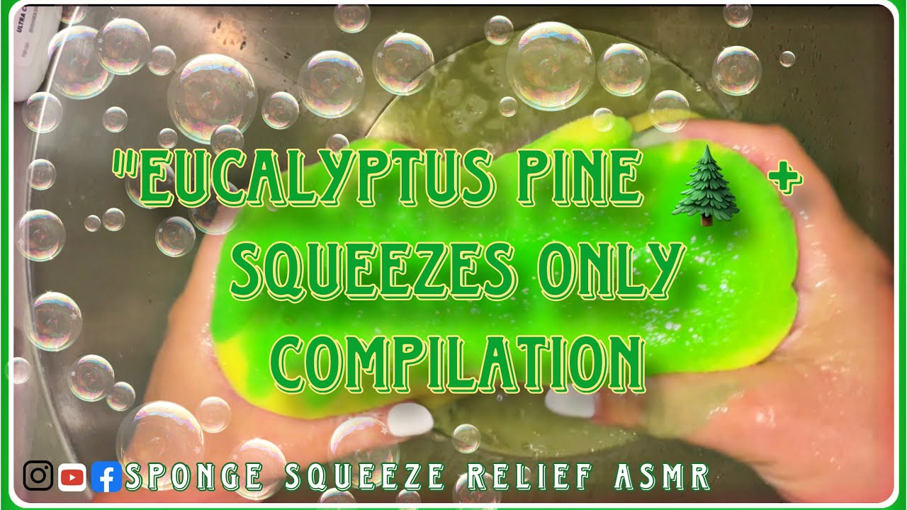 |ASMR| EUCALYPTUS PINE🌲VIDEO| COMPILATION SQUEEZES ONLY 🧽🤤🤗 enjoy 💘 - YouTube