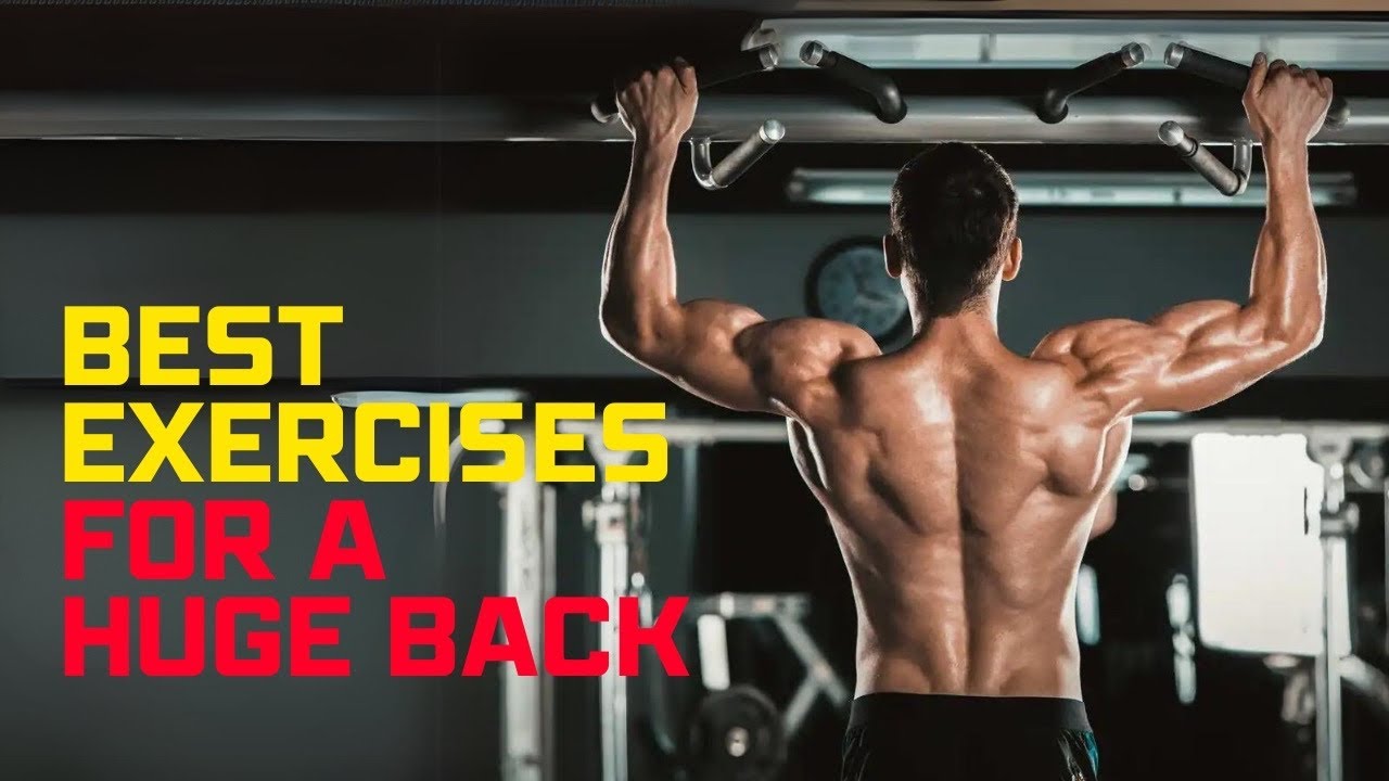 5 Best Exercises For A HUGE Back - YouTube