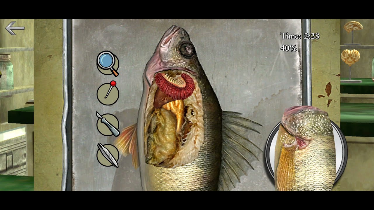 Bully: Anniversary Edition - All Biology Classes - YouTube