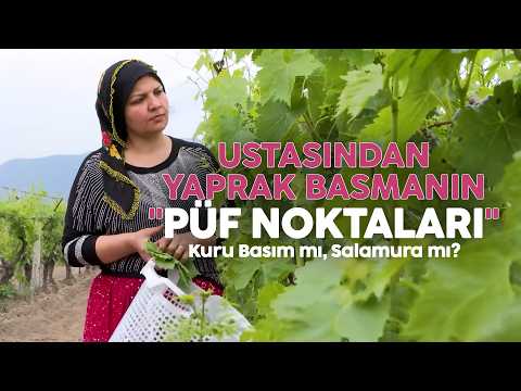Ustasından Salamura Yaprak Basımı #belgesel #manisa #yaprak #salamurayaprak