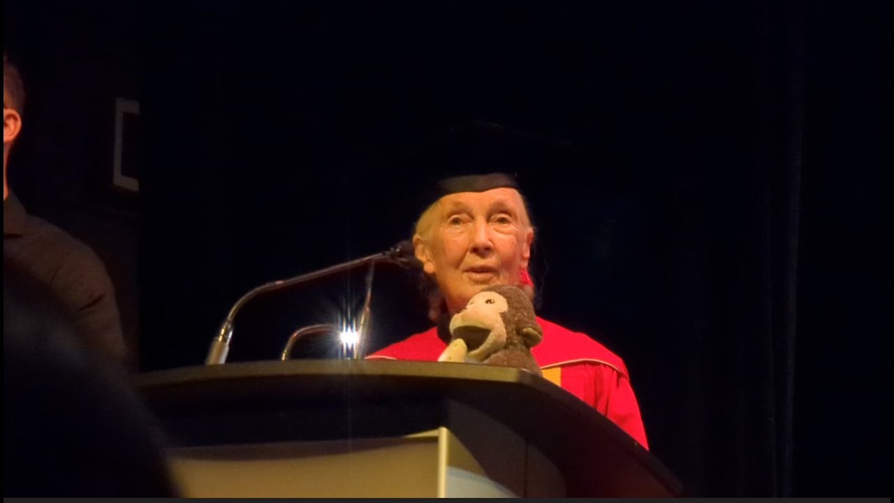Honorary Doctorate Jane Goodall - YouTube