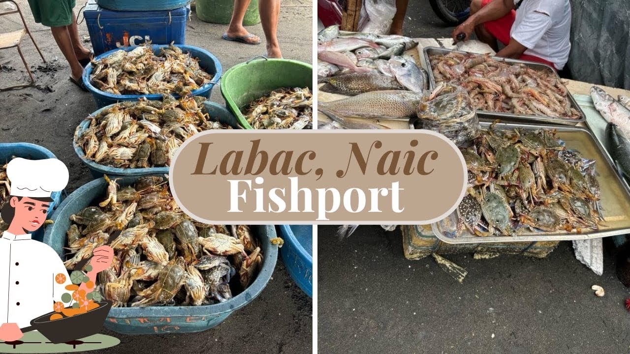 FISH PORT IN LABAC NAIC CAVITE/ BAKASYUN SA PILIPINAS - YouTube