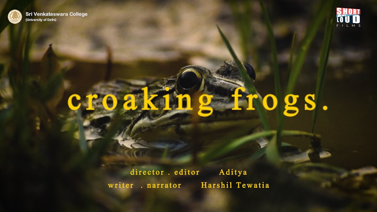 Croaking Frogs | Short Documentary | 10th National Science Film Festival Winner | - YouTube