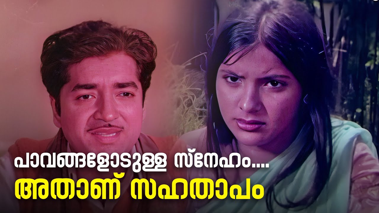പാവങ്ങളോടുള്ള സ്നേഹം....അതാണ് സഹതാപം | Panitheeratha Veedu | Prem ...