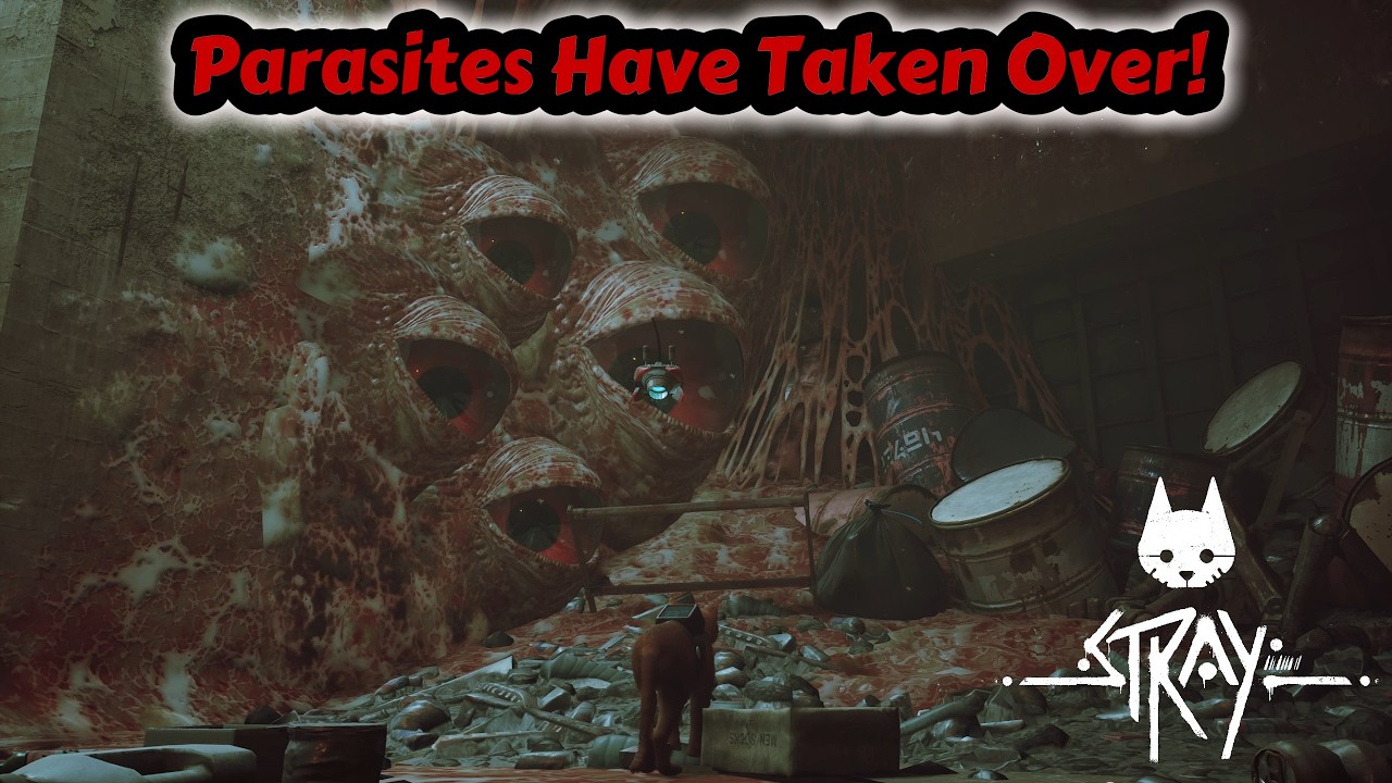 Can We Survive Parasites And Get To Earth's Surface | Stray Part 2 ...