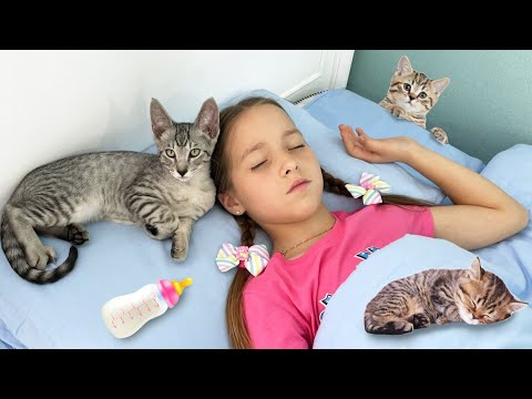 Sofia wants to be a babysitter, but she lost her kittens