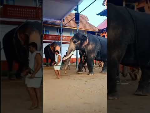 𝗞𝘂𝗹𝗶𝗽𝗶𝗰𝗵𝘂 𝗼𝗿𝘂𝗸𝗸𝗶 #trending #shorts - YouTube