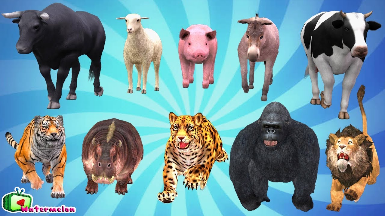 Wild Animals Transform into Farm Animals in Pool Water Finger Family ...