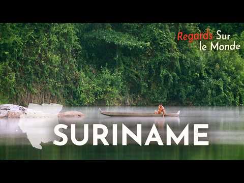Suriname : la jungle la plus méconnue du monde | Vu sur Terre | Documentaire HD