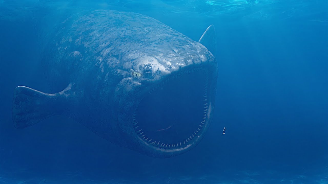 Top 10 Scary Underwater Anomalies No One Can Explain - YouTube