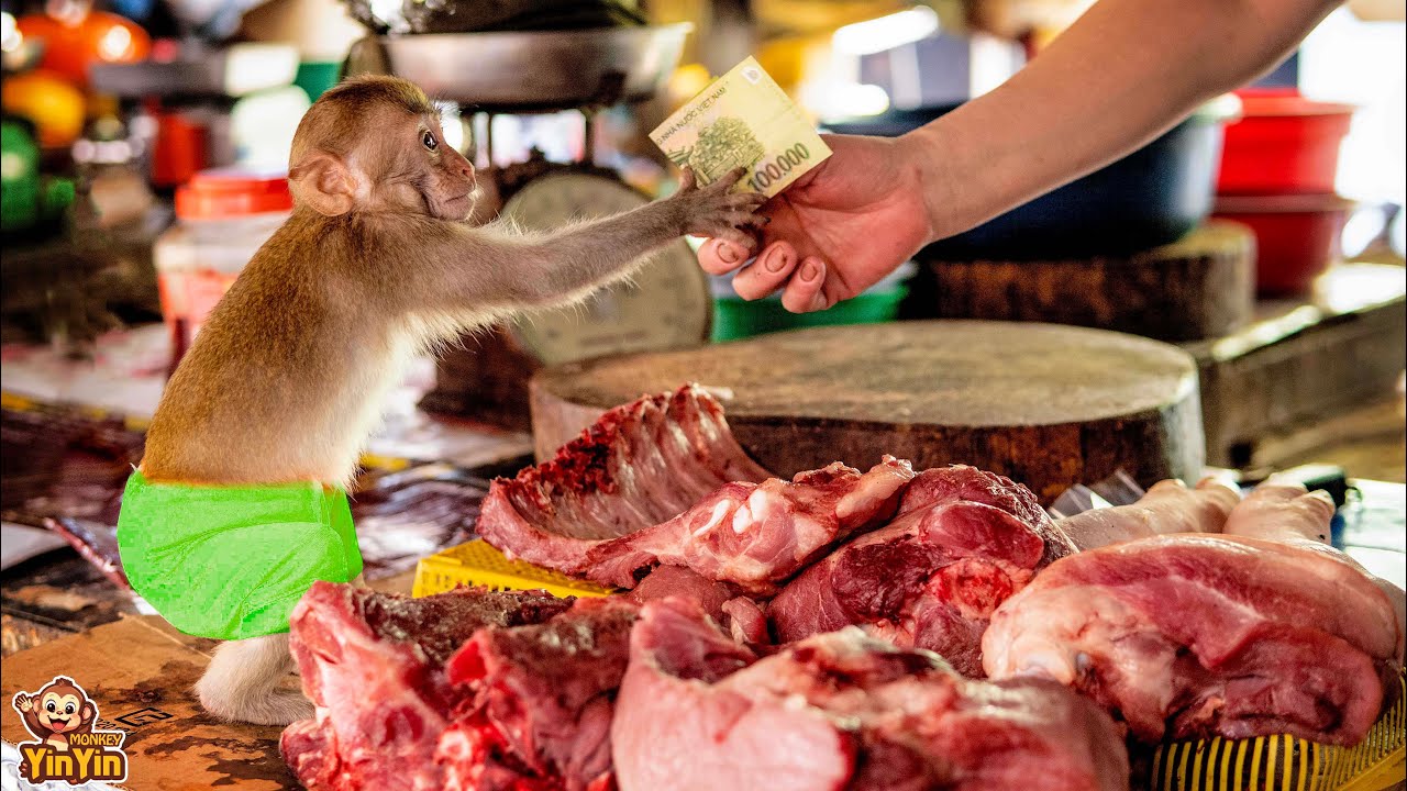 Monkey YinYin takes goat Bebe to market buy meat help Mom to cook lunch ...