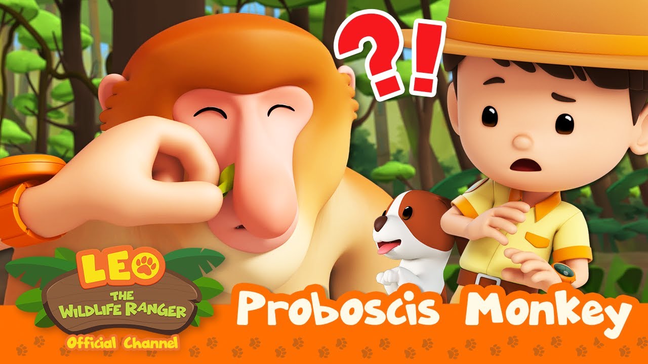 There's BOOGER in this MONKEY'S nose!! 🤧 | Proboscis Monkey | Leo the ...