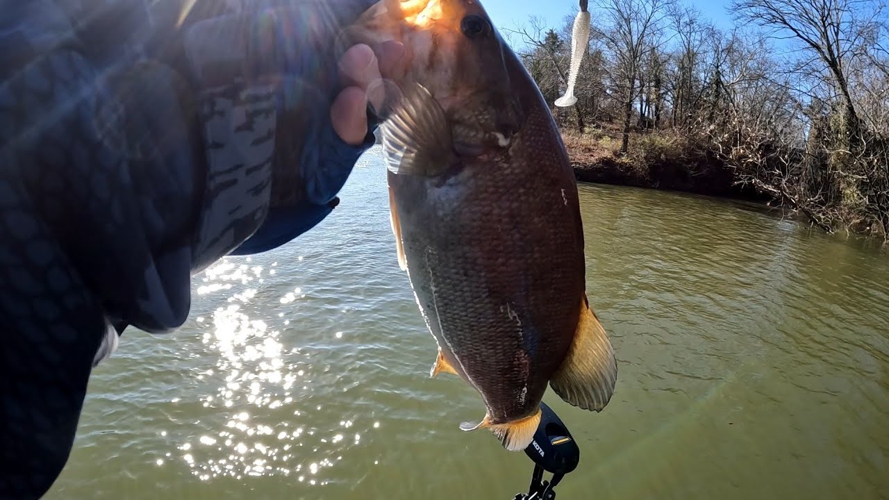 How To Catch Something On The Cumberland River In The Winter: Pulse ...