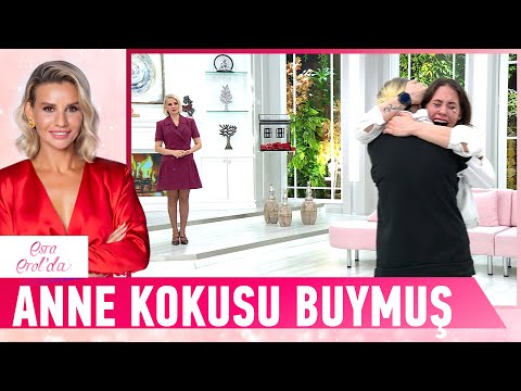 Zeynep'in ailesini bulma hikayesi ekrana kilitledi! - Esra Erol'da Kolaj