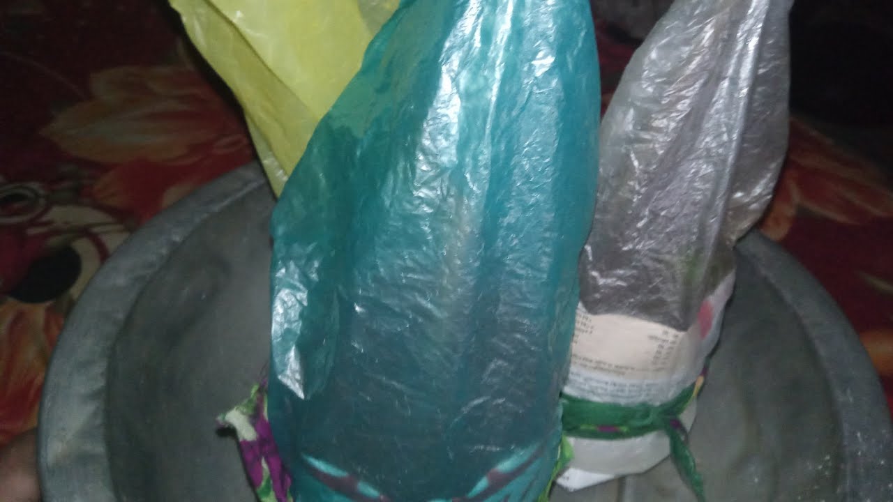 How to prepare palm saplings from any tree branch, Saudi Arabian Palm ...