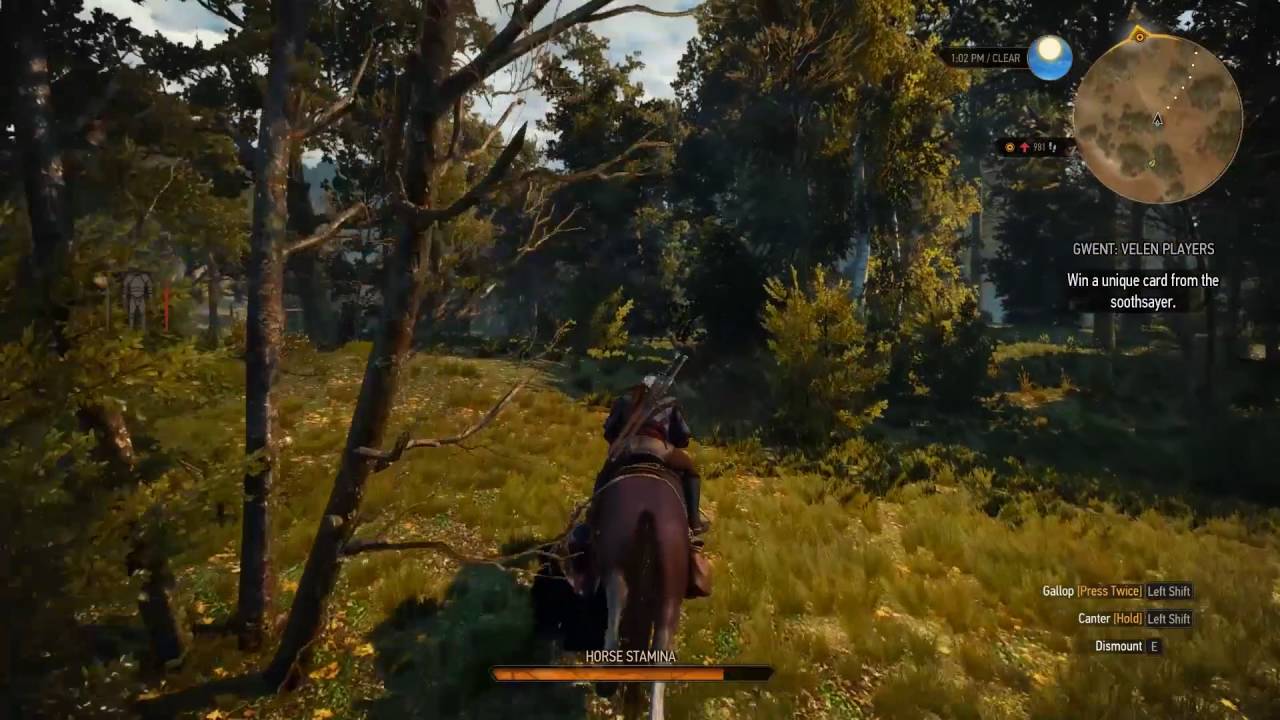 Witcher 3 funny glitch - YouTube